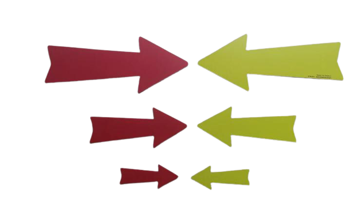 Arrow ID — Atlas Preservation