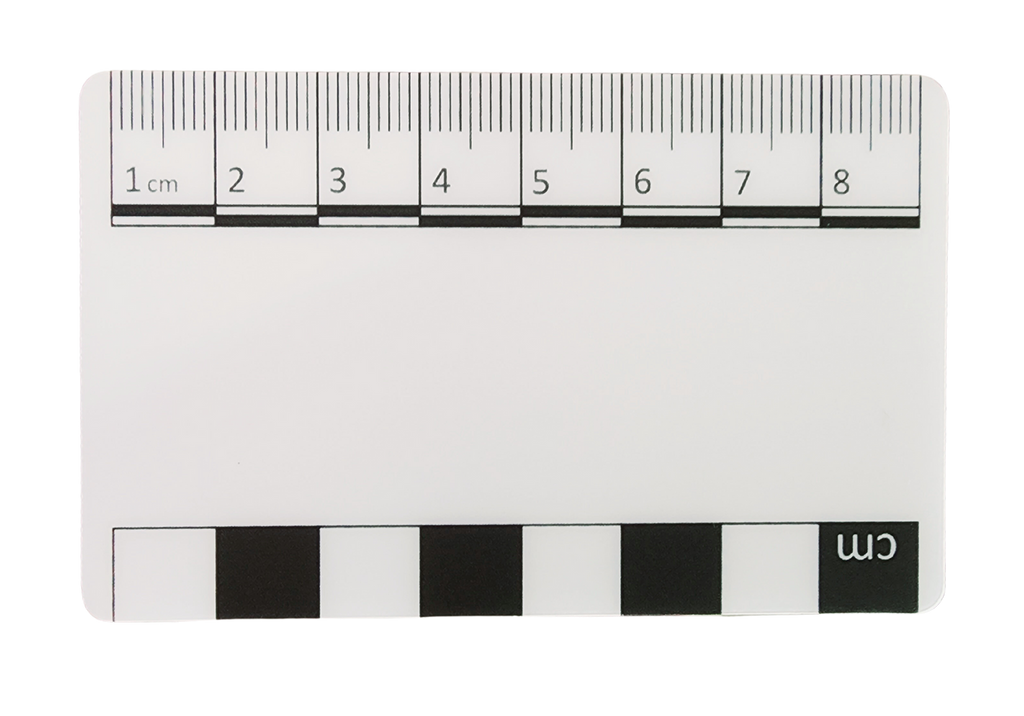 Photographic Scales & Documentation — Atlas Preservation